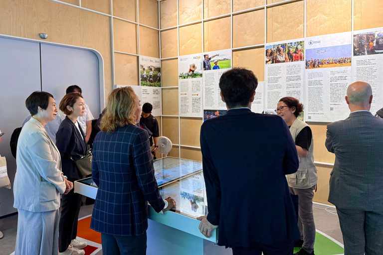 JIFF | 日本障がい者サッカー連盟 Football for the Goals公式メンバーに参画